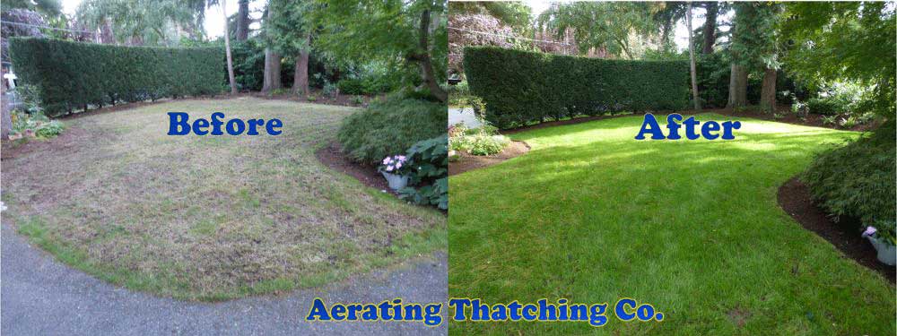 Home - Aerating Thatching Co